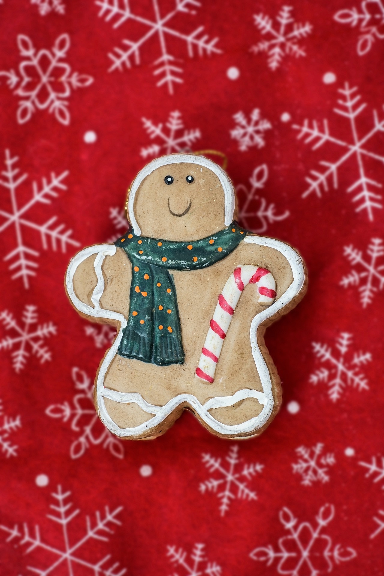 Escape Of The Gingerbread Man The Power Of Integrated Learning UDA escape-of-the-gingerbread-man-the-power-of-integrated-learning-uda